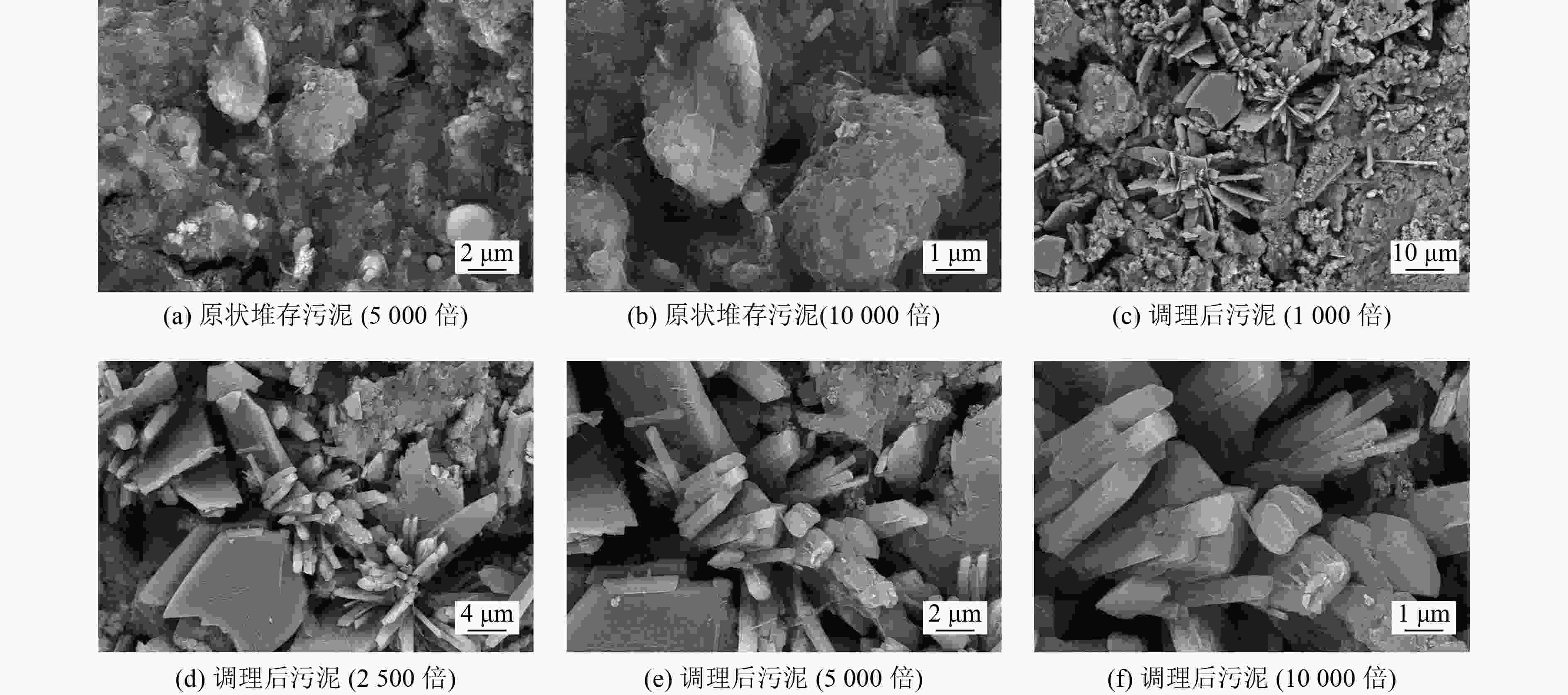 堆存市政污泥深度脱水及其重金属稳定化效果研究