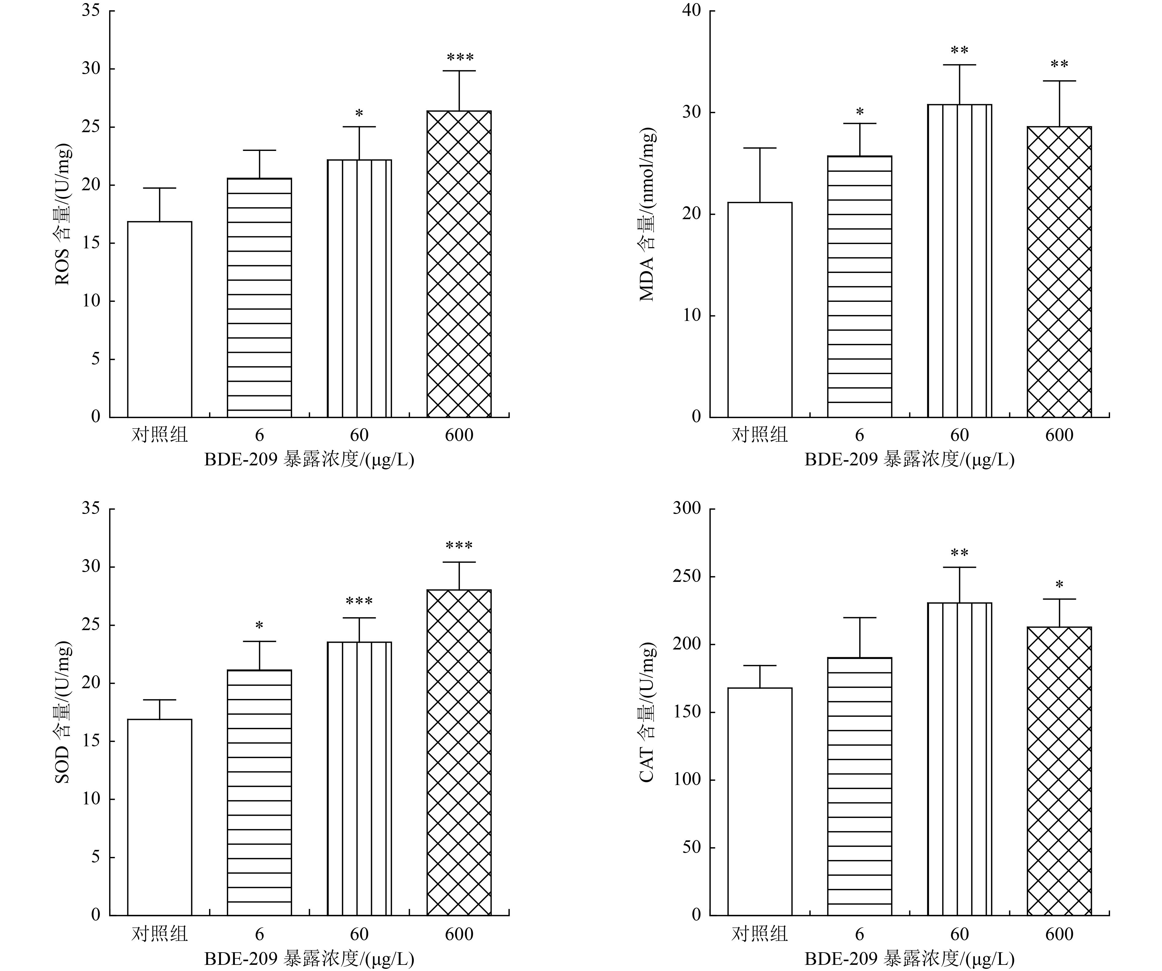 BDE-209对斑马鱼肠道的慢性毒性效应