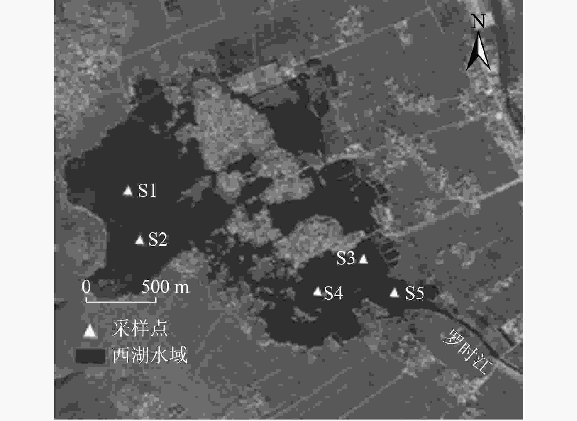 云南大理洱源西湖浮游植物功能群季节演替特征