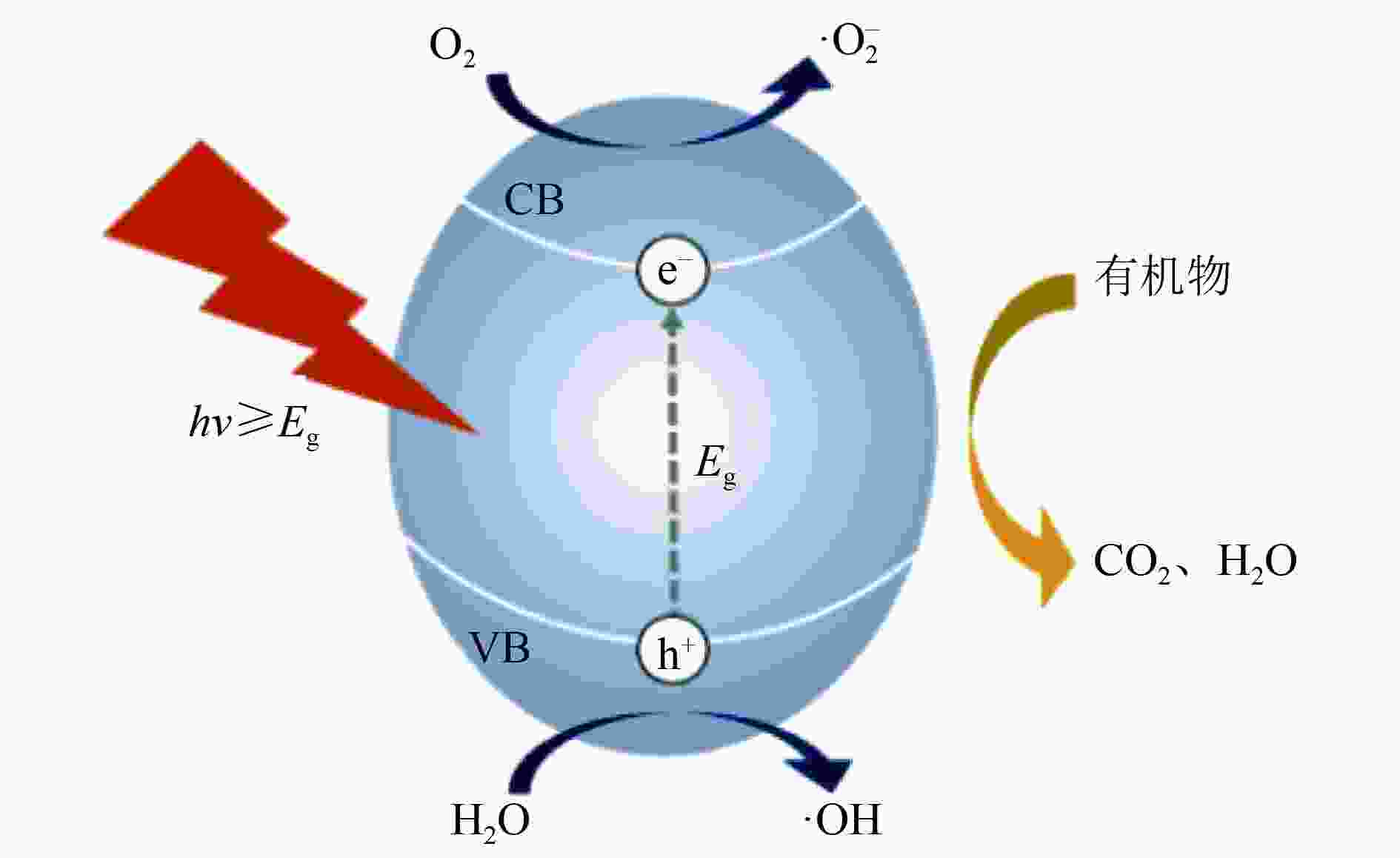 全氟辛酸光催化材料应用及降解机理研究进展
