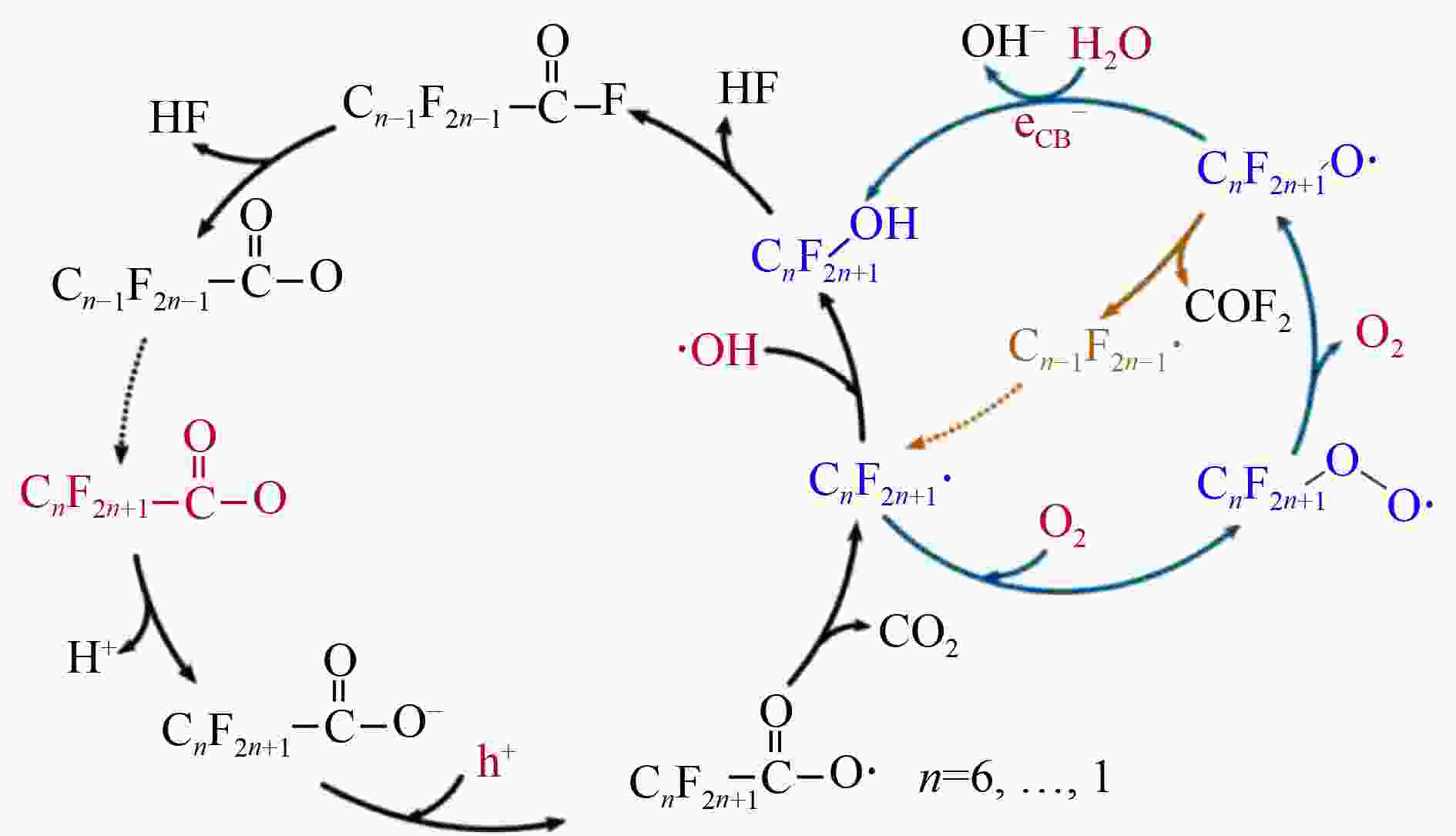 全氟辛酸光催化材料应用及降解机理研究进展
