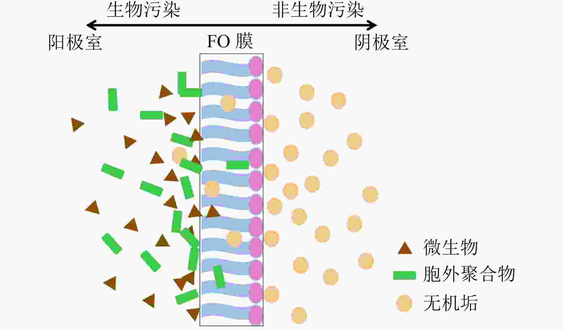 正渗透微生物燃料电池反向溶质通量和膜污染控制技术研究进展