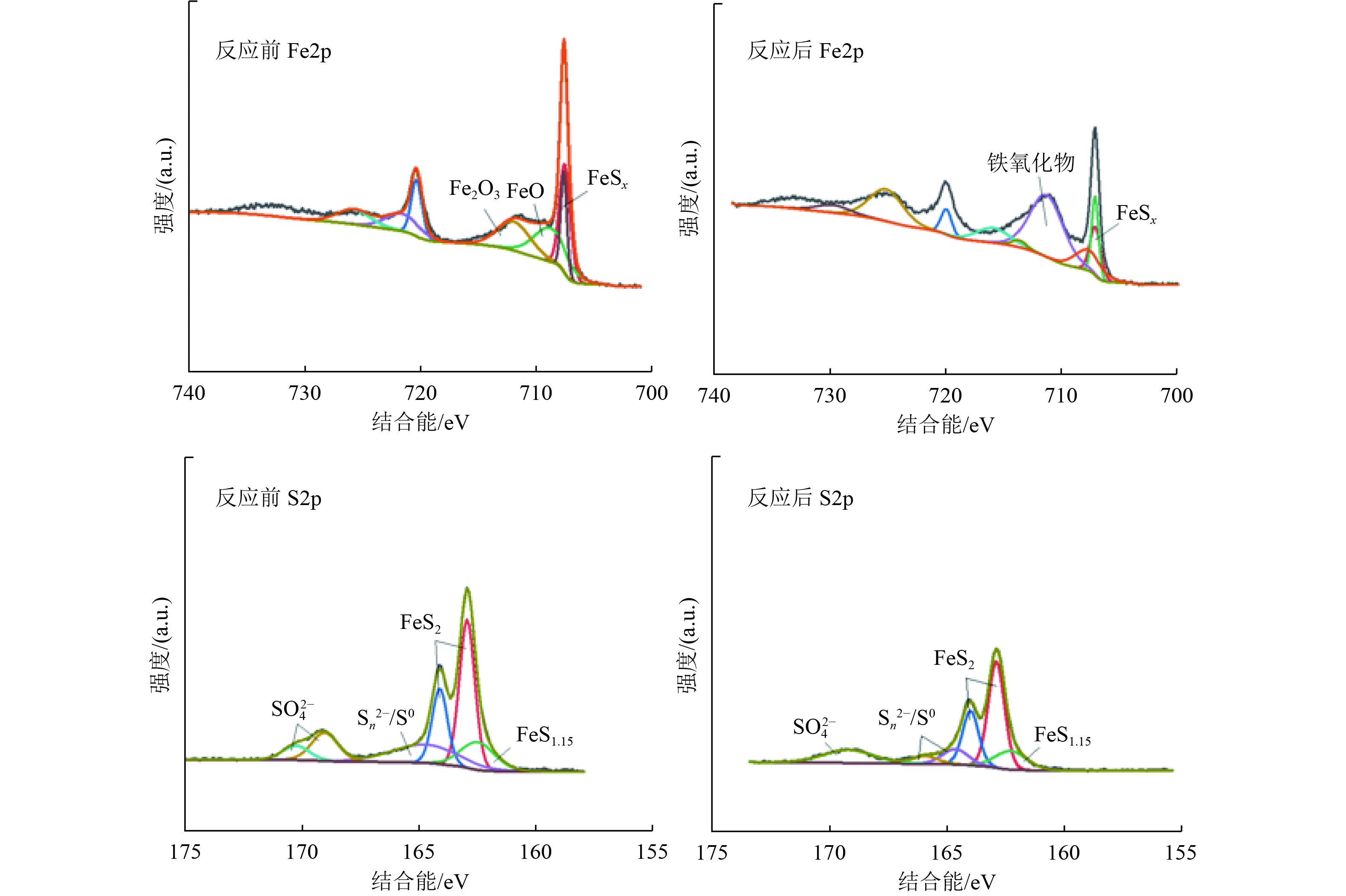 FeS 2 强化微生物燃料电池阳极反硝化脱氮与产电特性