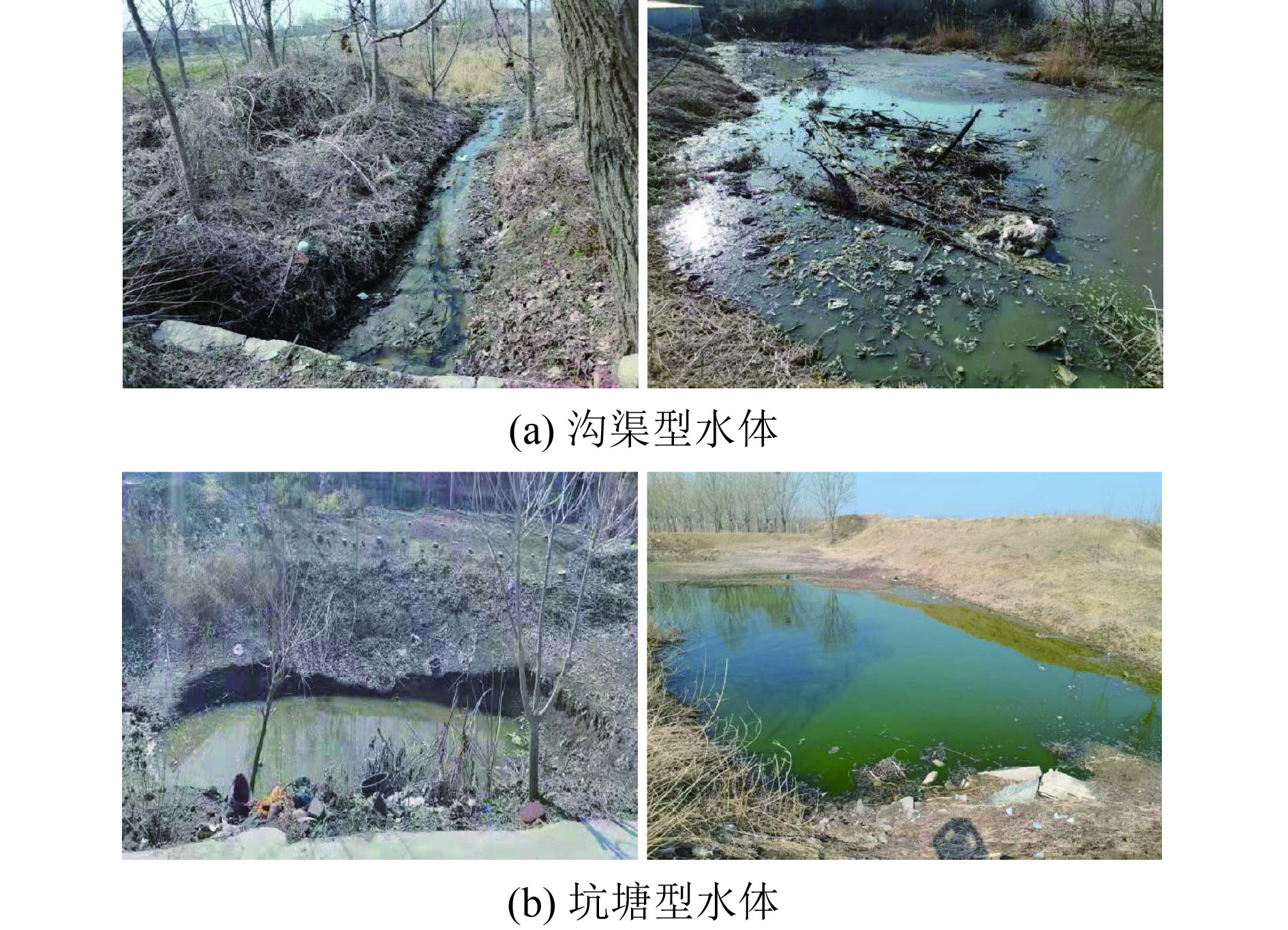 Study on microbial community structure and functional characteristics ...